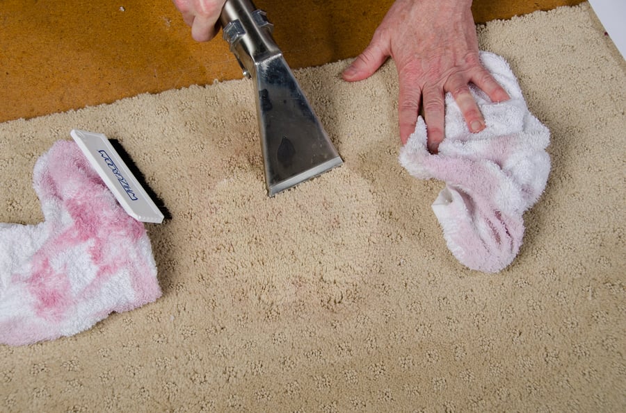 How To Remove Paint From Carpet