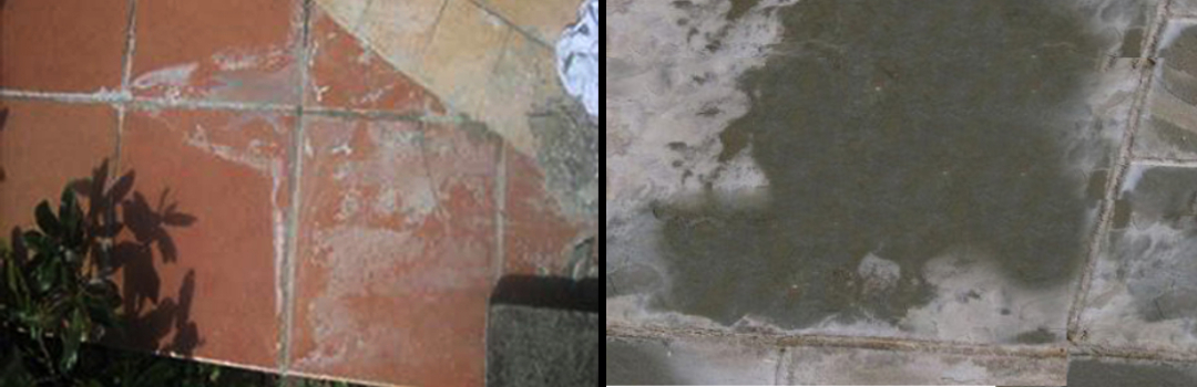 Efflorescence: The Browning of Tile & Grout Cleaning