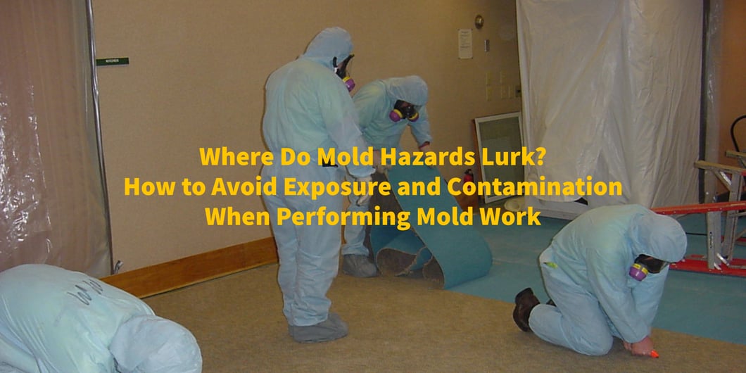 Mold Removal and Remediation: What it Means to Follow ANSI/IICRC S520 ...