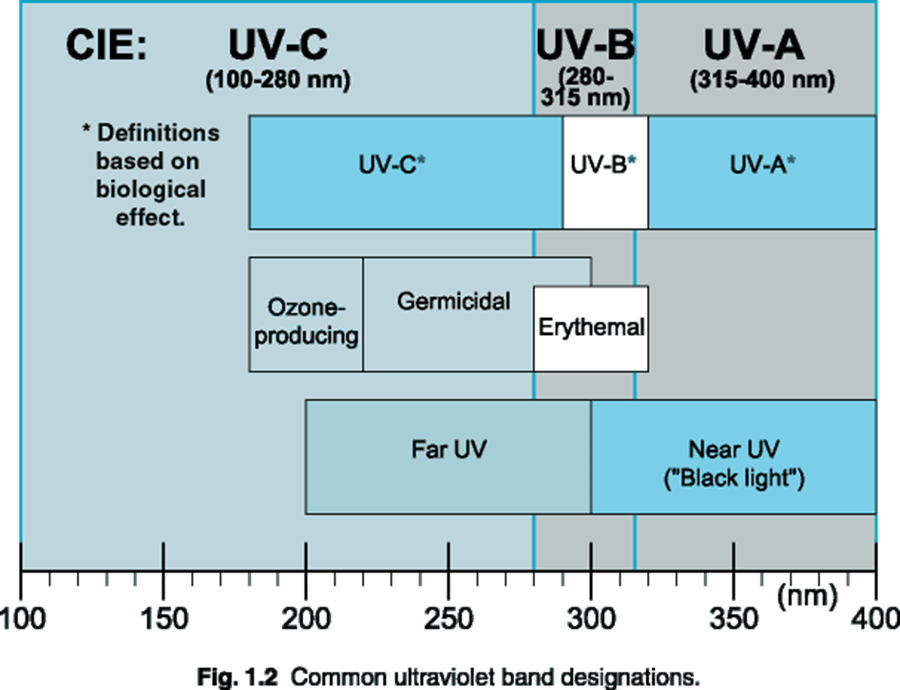 Glowing Secrets: Everyday Materials Revealed Under Black Light