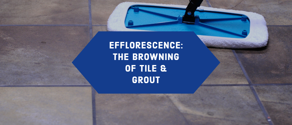 Efflorescence: The Browning of Tile & Grout Cleaning