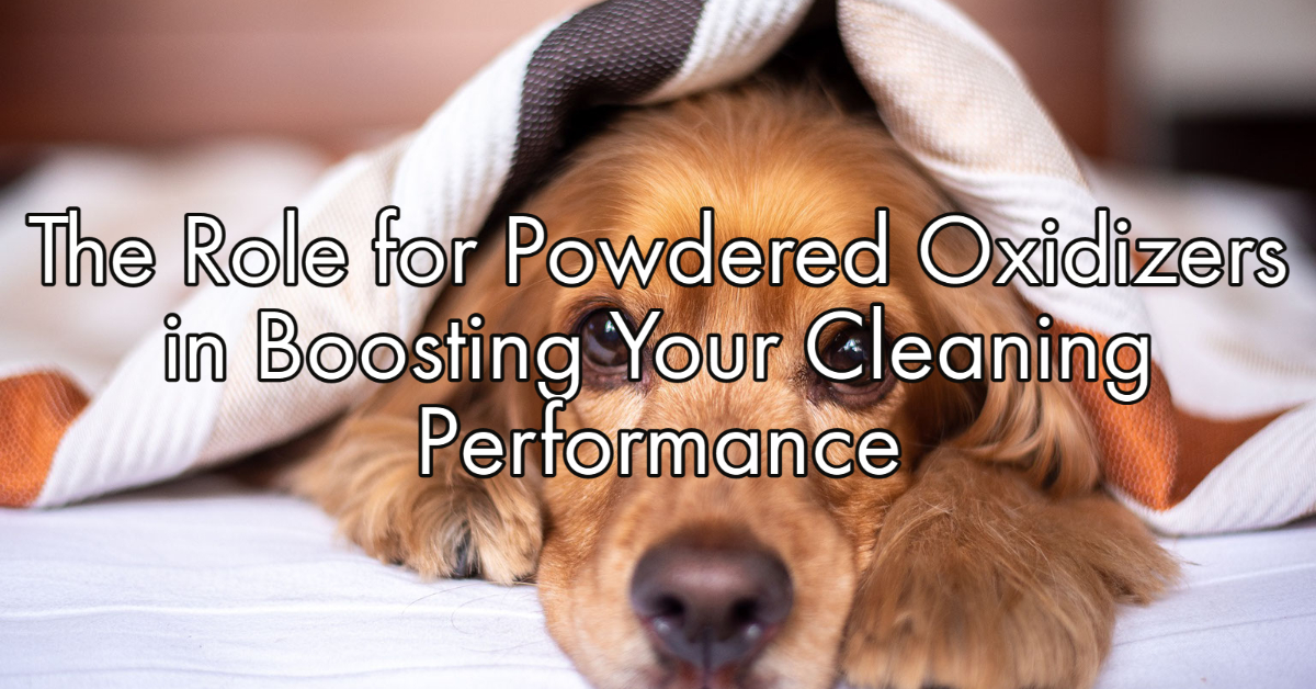 The Role for Powdered Oxidizers in Boosting Your Cleaning Performance